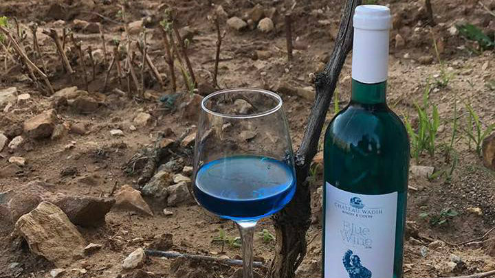 Lebanese winemaker produces pioneering blue wine